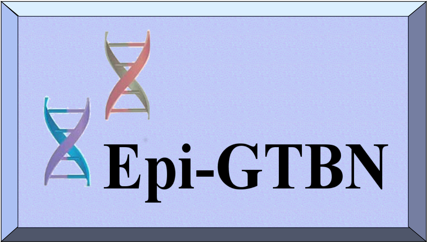 GitHub - Epi-GTBN/package: R package for epistasis mining based on genetic tabu algorithm and ...
